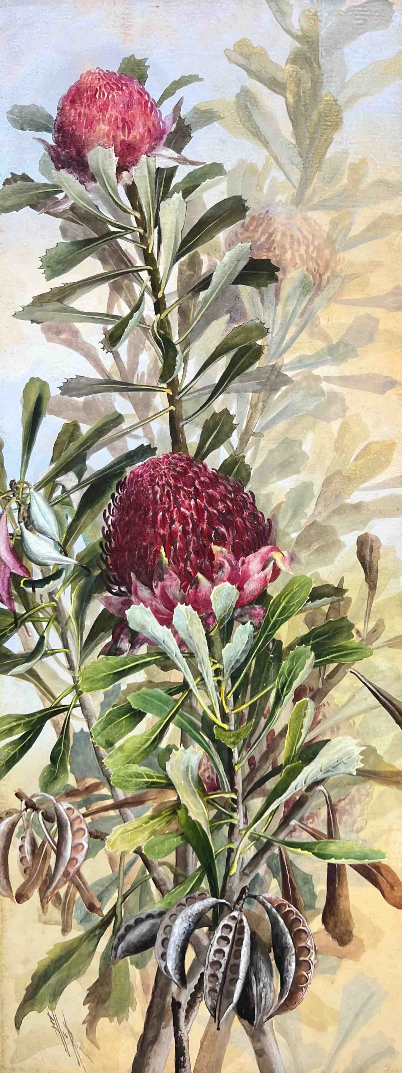 Australian Artists – Contemporary & Historical — Day Gallery Blackheath